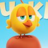 Иконка канала ЦЫПЛЕНОК ЧИКИ | Where's Chicky?