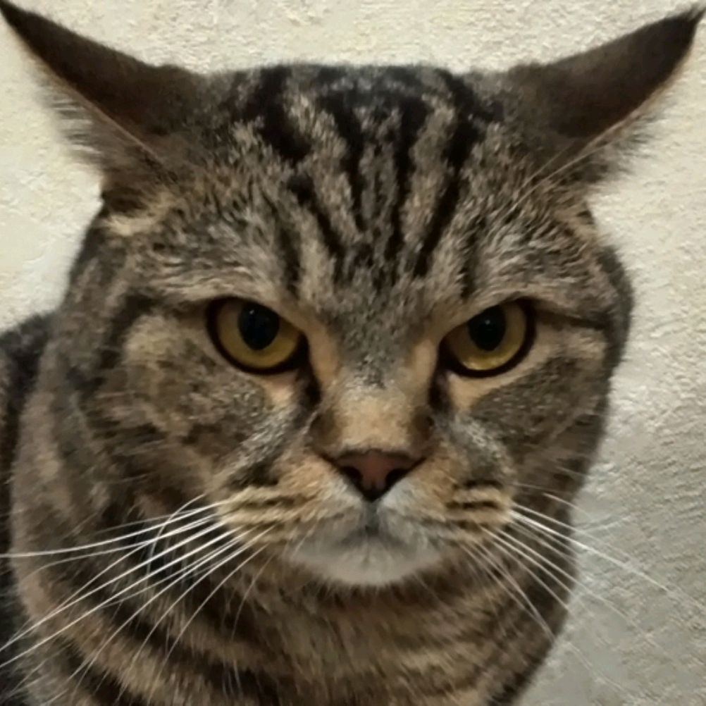 Иконка канала Никита Б