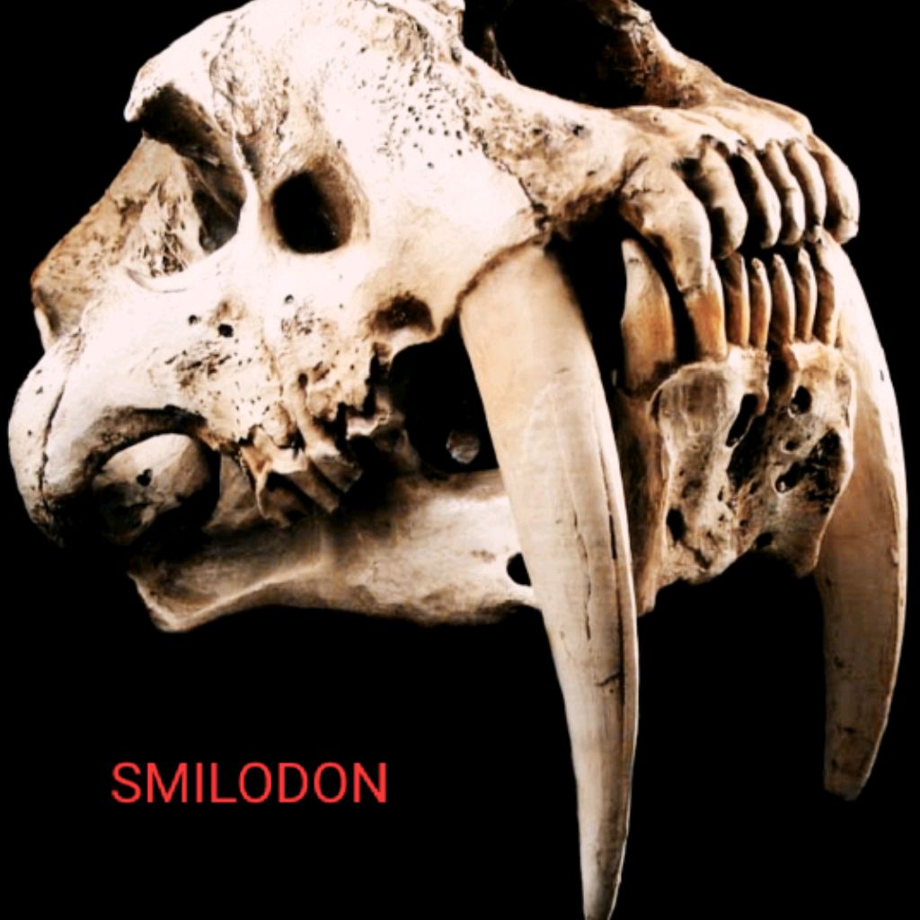Иконка канала Smilodon