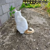 Иконка канала О Блогерах говорю