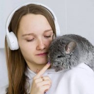 Иконка канала Питомник Шиншилл Барнаул