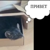 Иконка канала Соболь Маруся