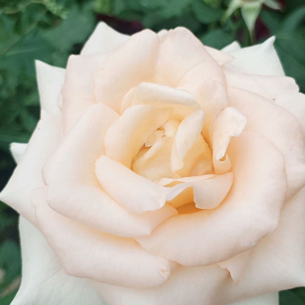 Иконка канала channel32113934