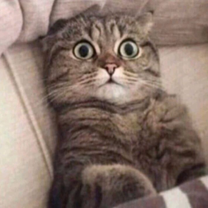 Иконка канала Лайк 👍 Ракета 🚀 В топ 💯 Нейросети  ♂️