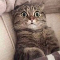 Иконка канала Лайк 👍 Ракета 🚀 В топ 💯 Нейросети ♂️