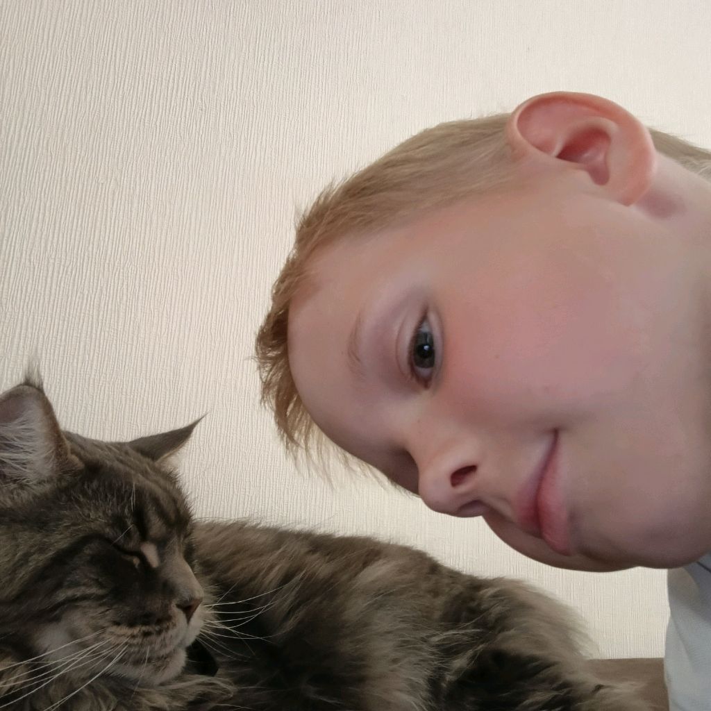 Иконка канала Саша, кот Барсик и игры