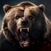 Иконка канала Медведь