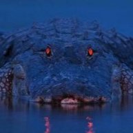 Иконка канала VolgaSiberNN