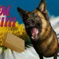 Иконка канала СЕРИАЛЫ В РОБЛОКСЕ | ЛУЧШИЕ ДОРАМЫ СО ВСЕГО ИНЕТА