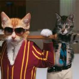 Иконка канала Geor 2025