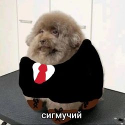 Иконка канала Чел который просто стримит