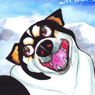 Иконка канала Proud and the Pets