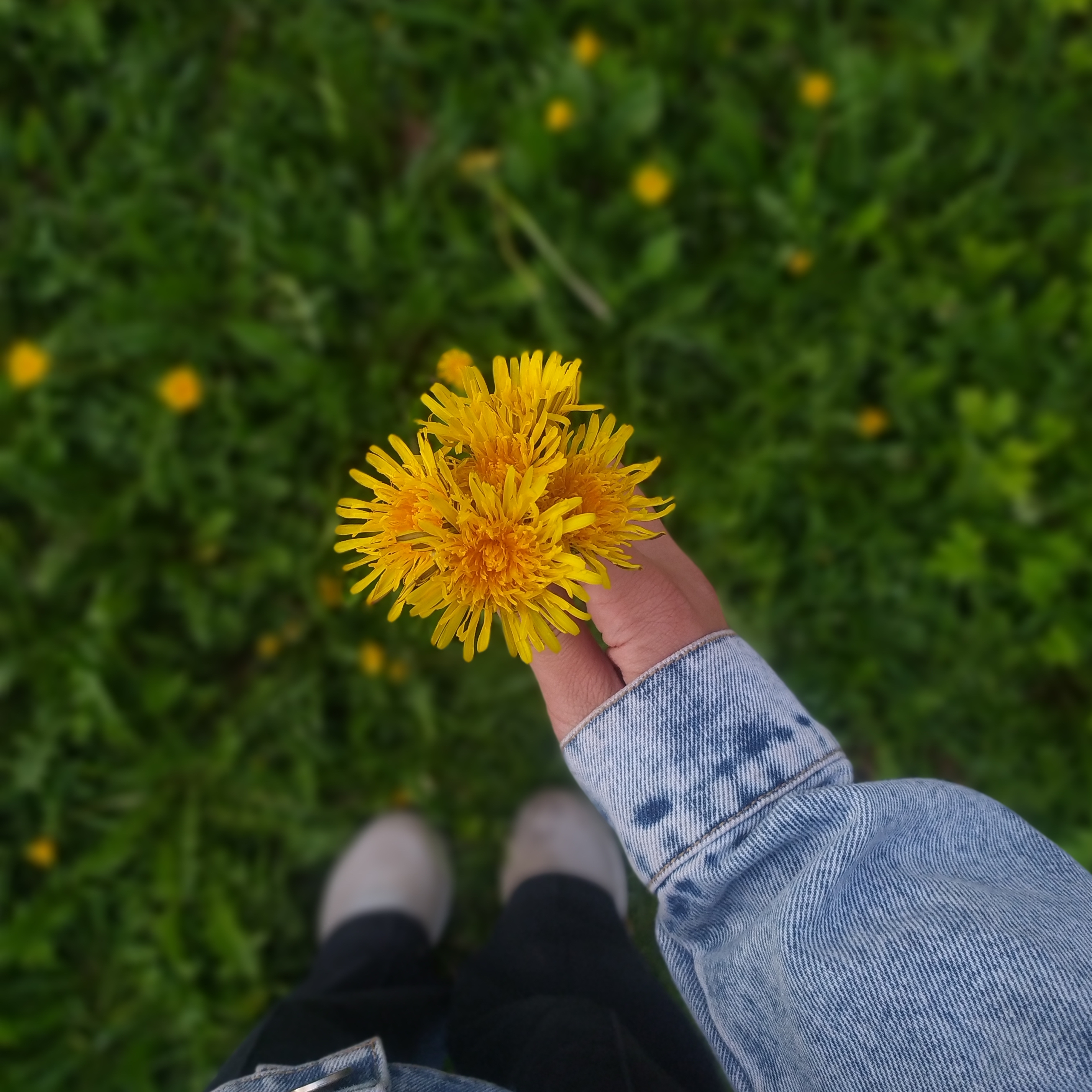 Иконка канала *ALEX*