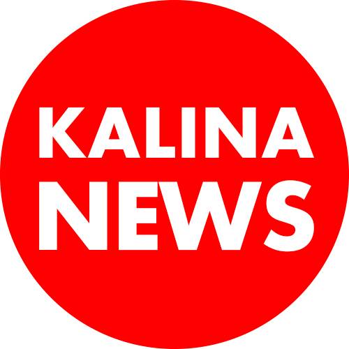 Иконка канала КАЛИНА NEWS | Новости с переводом