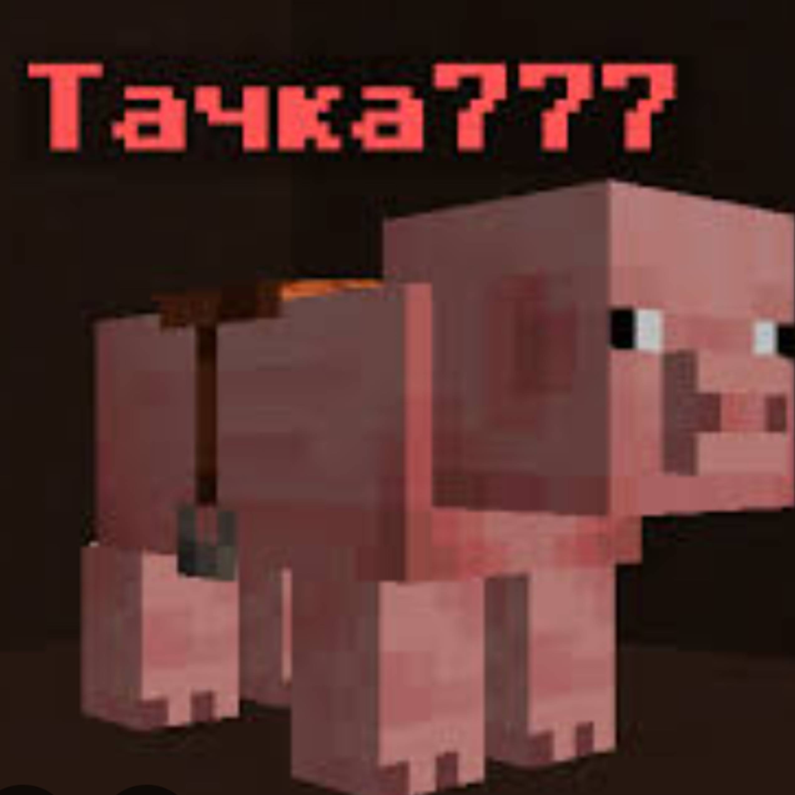 Иконка канала woxCOOL