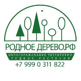 Иконка канала Родное Дерево! | Питомник растений