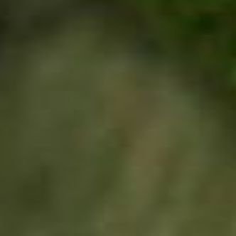 Иконка канала dawnmiller