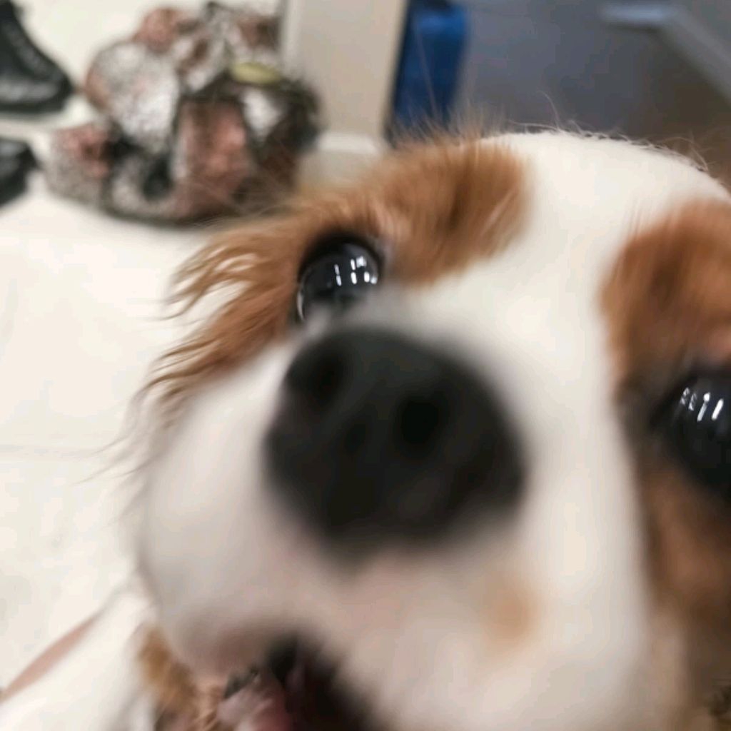 Иконка канала Сырок 🫀💋😡