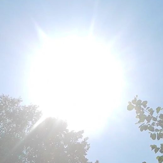 Иконка канала genii81