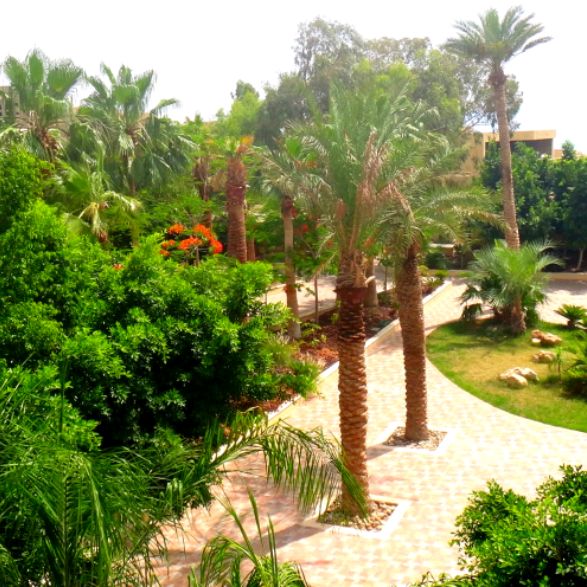 Иконка канала ВСЁ ОБО ВСЁМ