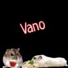 Иконка канала VANO
