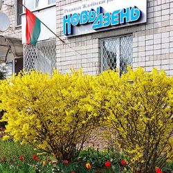 Иконка канала Новы дзень