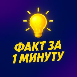 Иконка канала Факт за 1 минуту