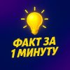 Иконка канала Факт за 1 минуту