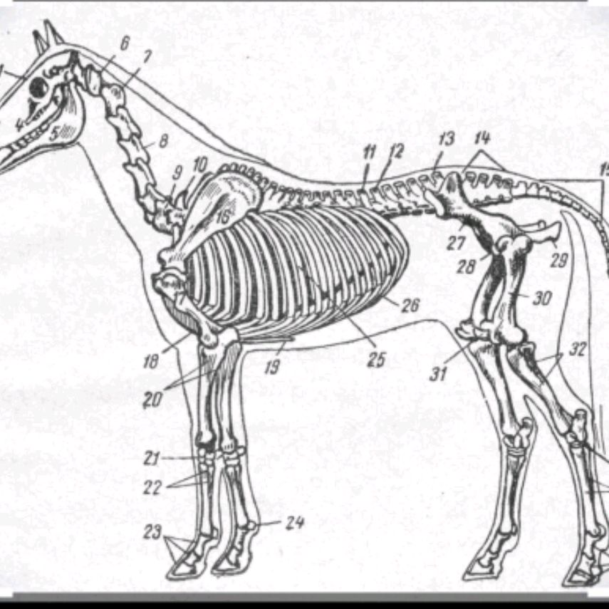 Иконка канала Лиза﹤3