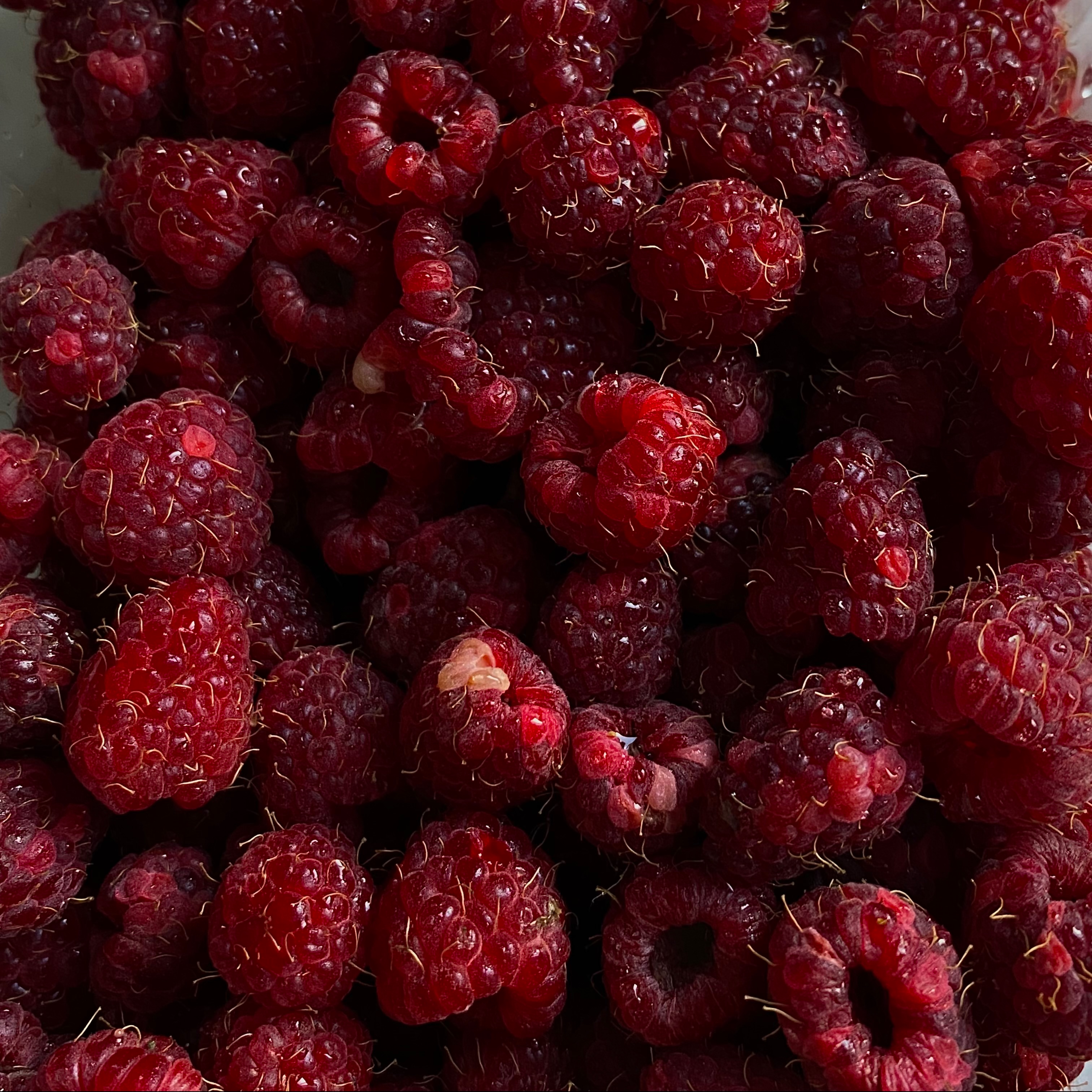 Иконка канала Перекусик