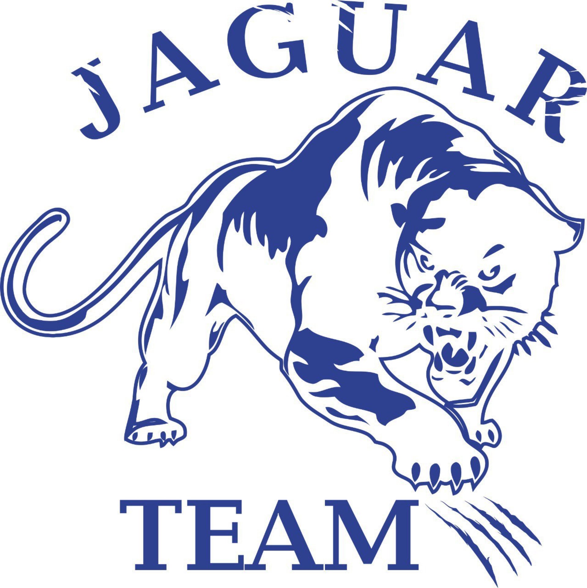 Иконка канала JAGUAR_TEAM