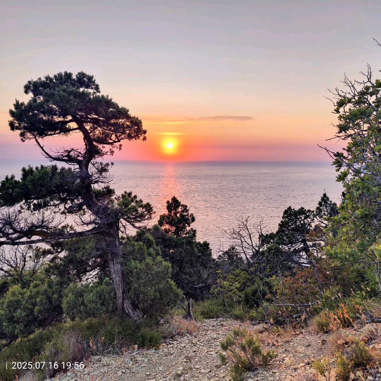 Иконка канала Кипарис ТВ: Жизнь в Сукко́ и за его пределами