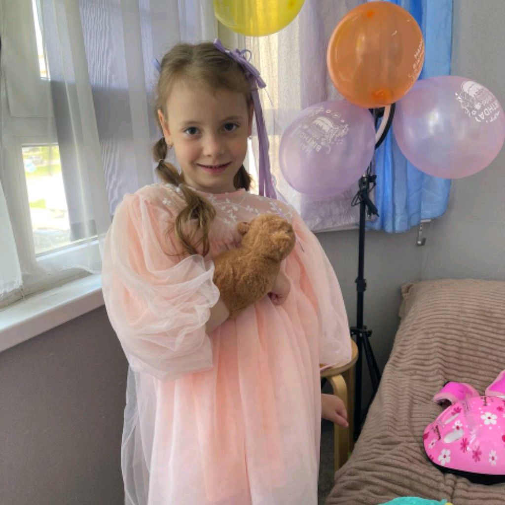 Иконка канала Киска миска