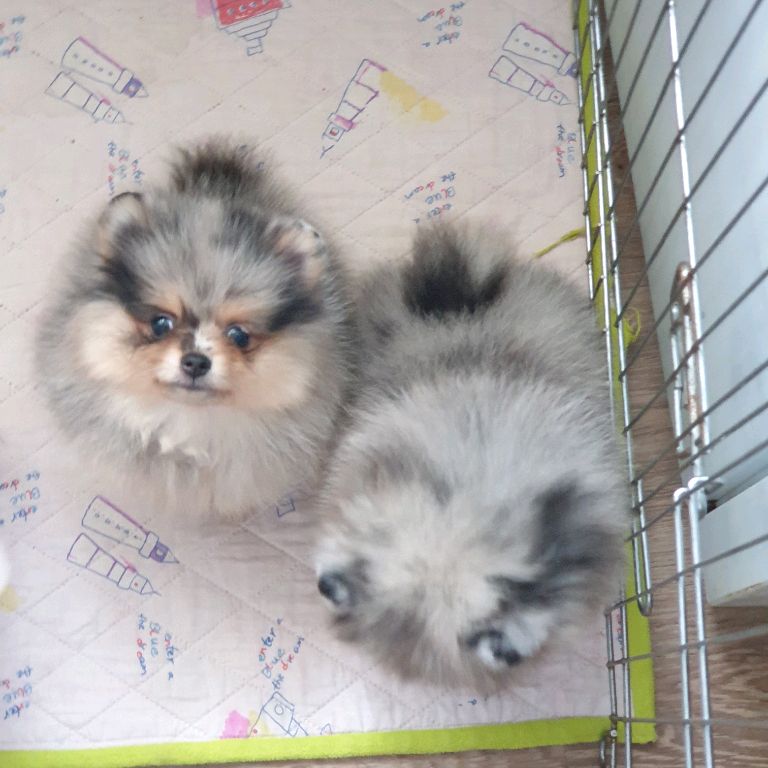 Иконка канала По не многу обо всем.