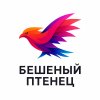 Иконка канала Бешеный птенец
