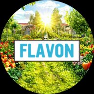 Иконка канала Flavon