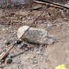 Иконка канала Dimka Рыбалка в камсамольске