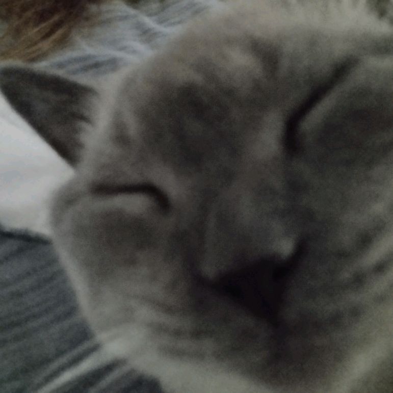 Иконка канала KEKSIK