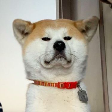 Иконка канала Yar