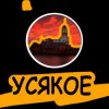 Иконка канала ВЫБОРГ LIVE