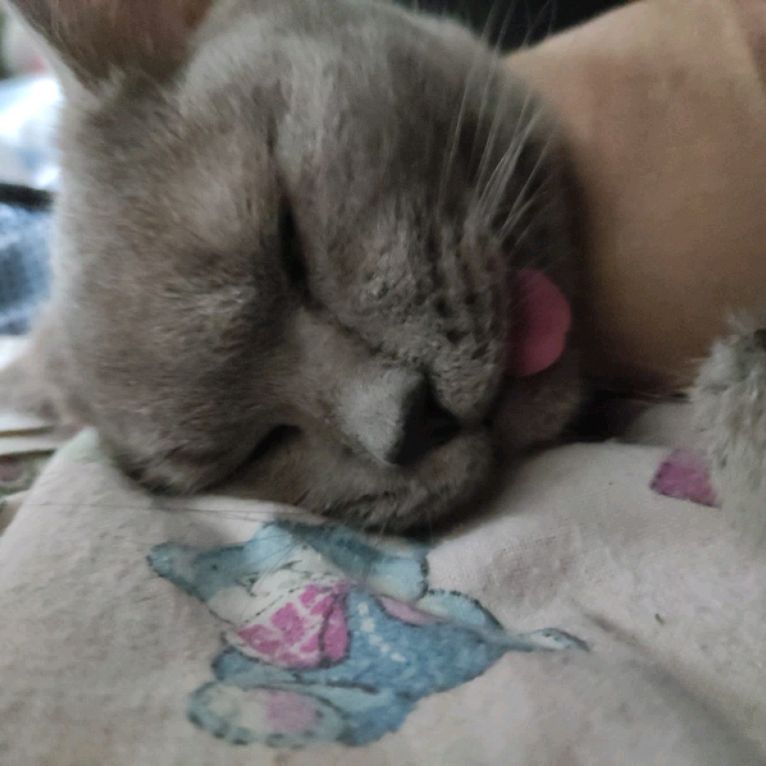 Иконка канала Егор Зятьков