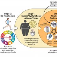 Иконка канала КардиоРеноГепатоМетабология