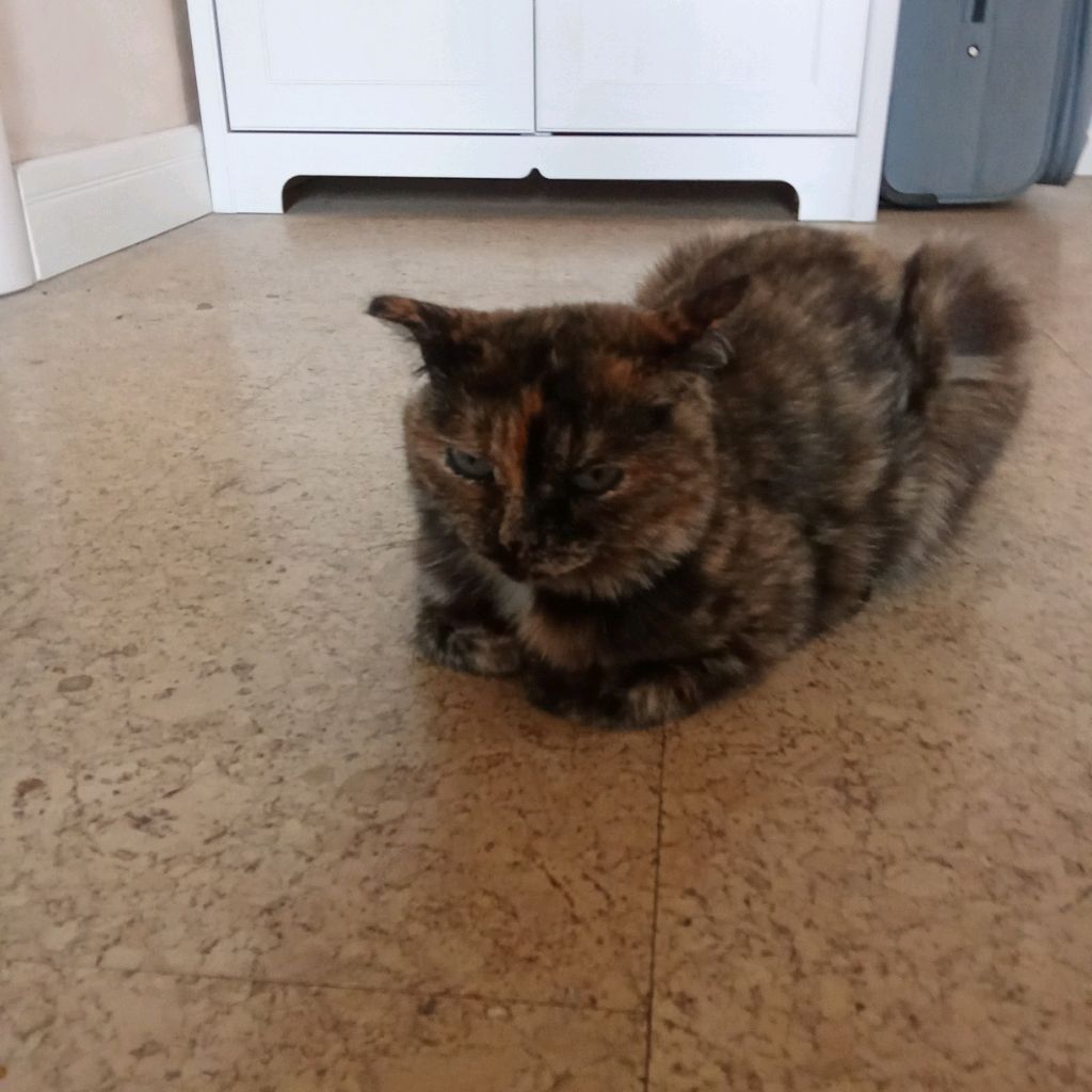 Иконка канала 678tox