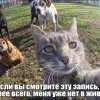 Иконка канала Alek_prikol