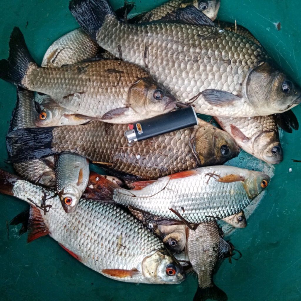 Иконка канала СемËныч Рыбалкин