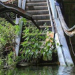 Иконка канала pestovalarisa_45