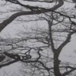 Иконка канала евдоким