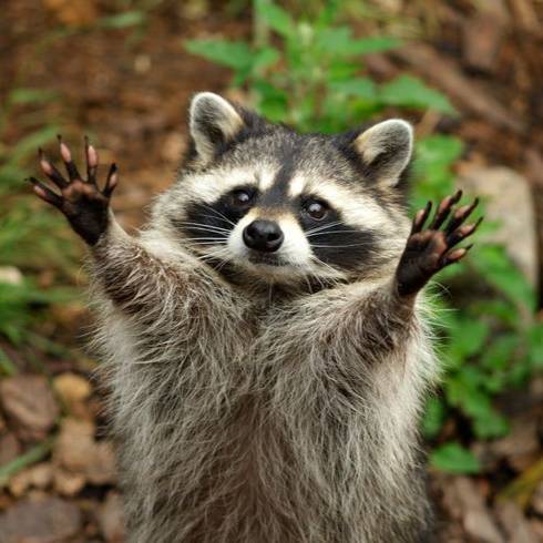 Иконка канала ARTEM