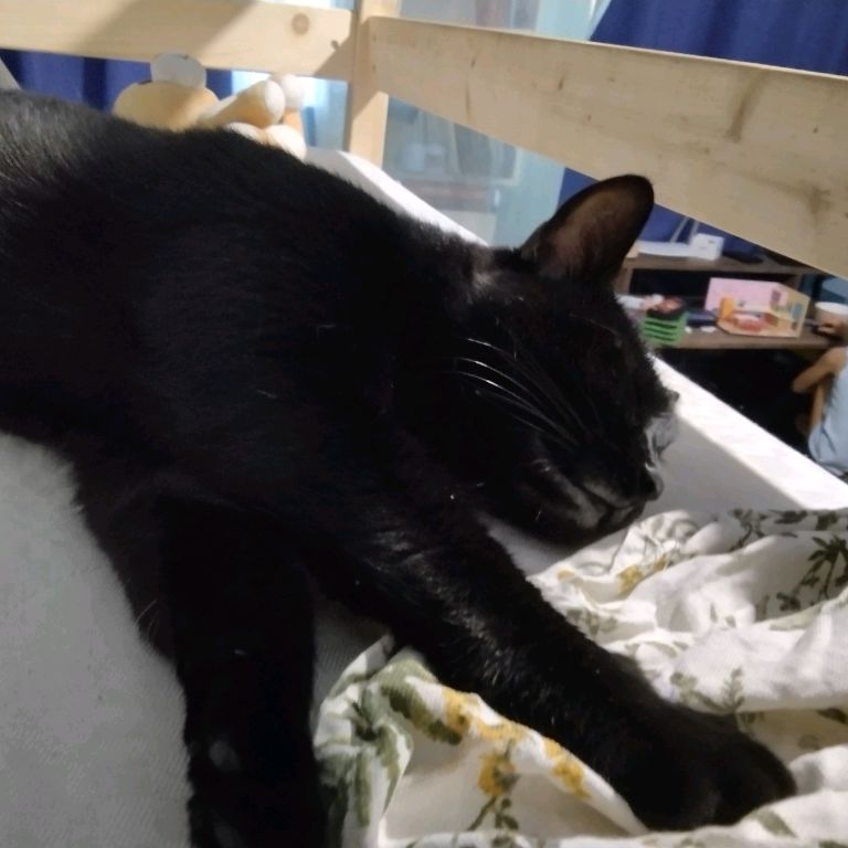 Иконка канала suhsyk961