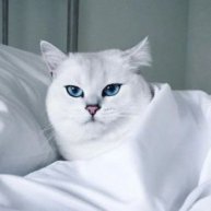 Иконка канала vivaritta